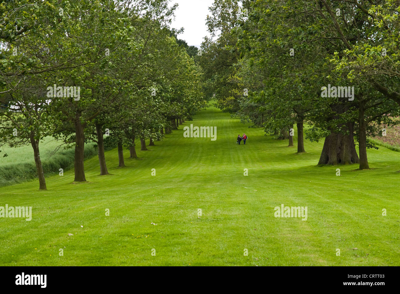 Shobdon arches hi-res stock photography and images - Alamy