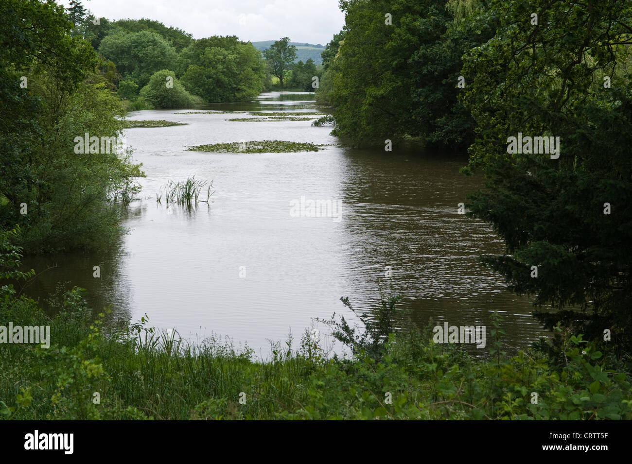 Estate lake at Shobdon Court Shobdon Herefordshire England UK Stock ...