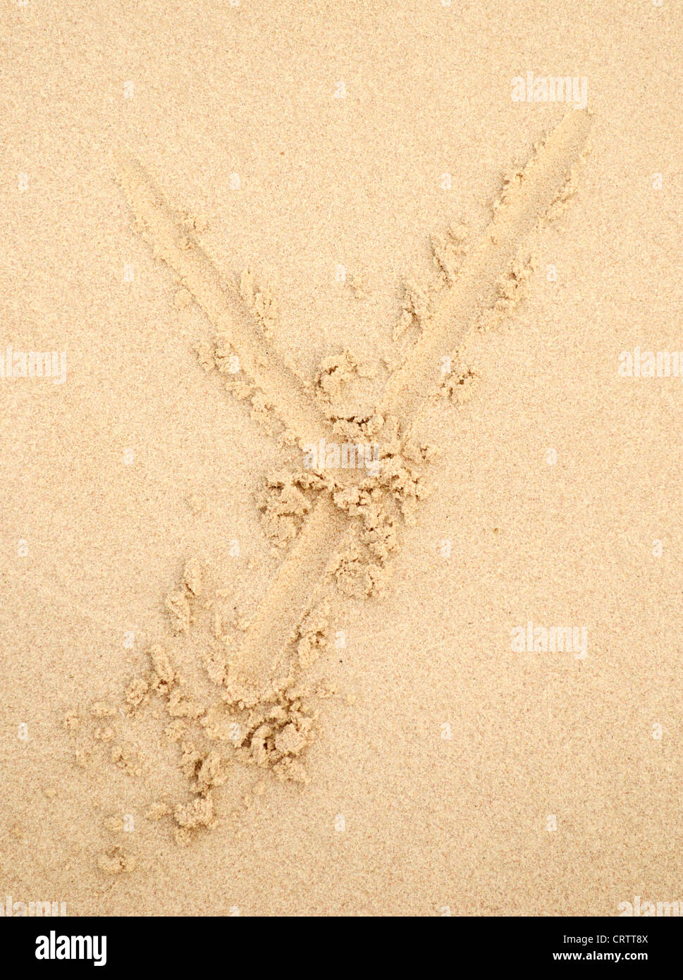 Y letter hi-res stock photography and images - Alamy