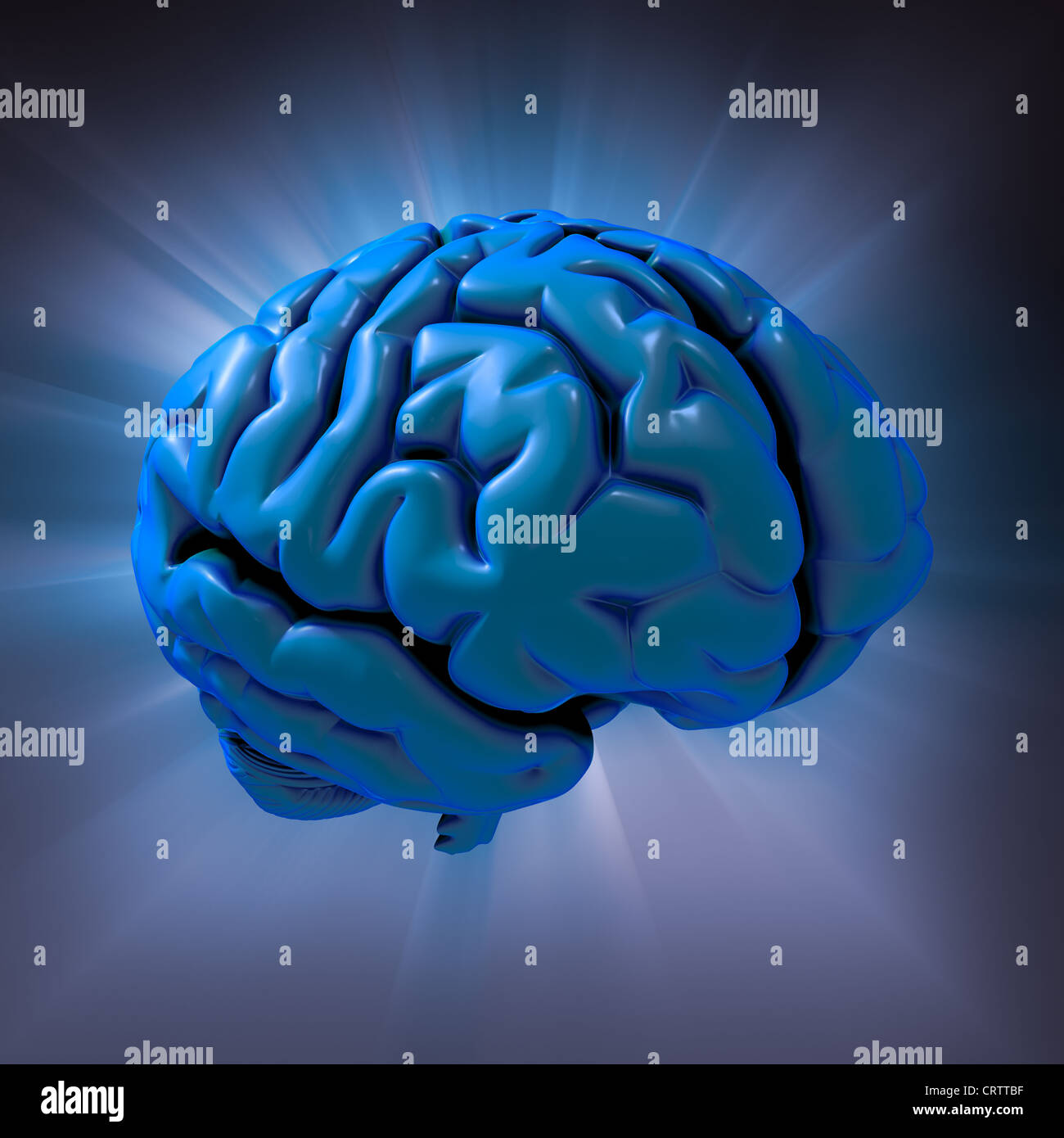 Human brain abstract Stock Photo - Alamy