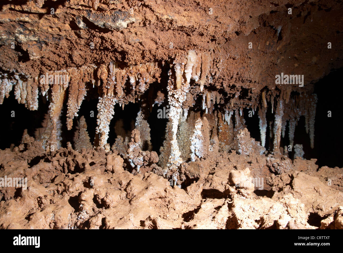 Stalactites in the cave Stock Photo - Alamy