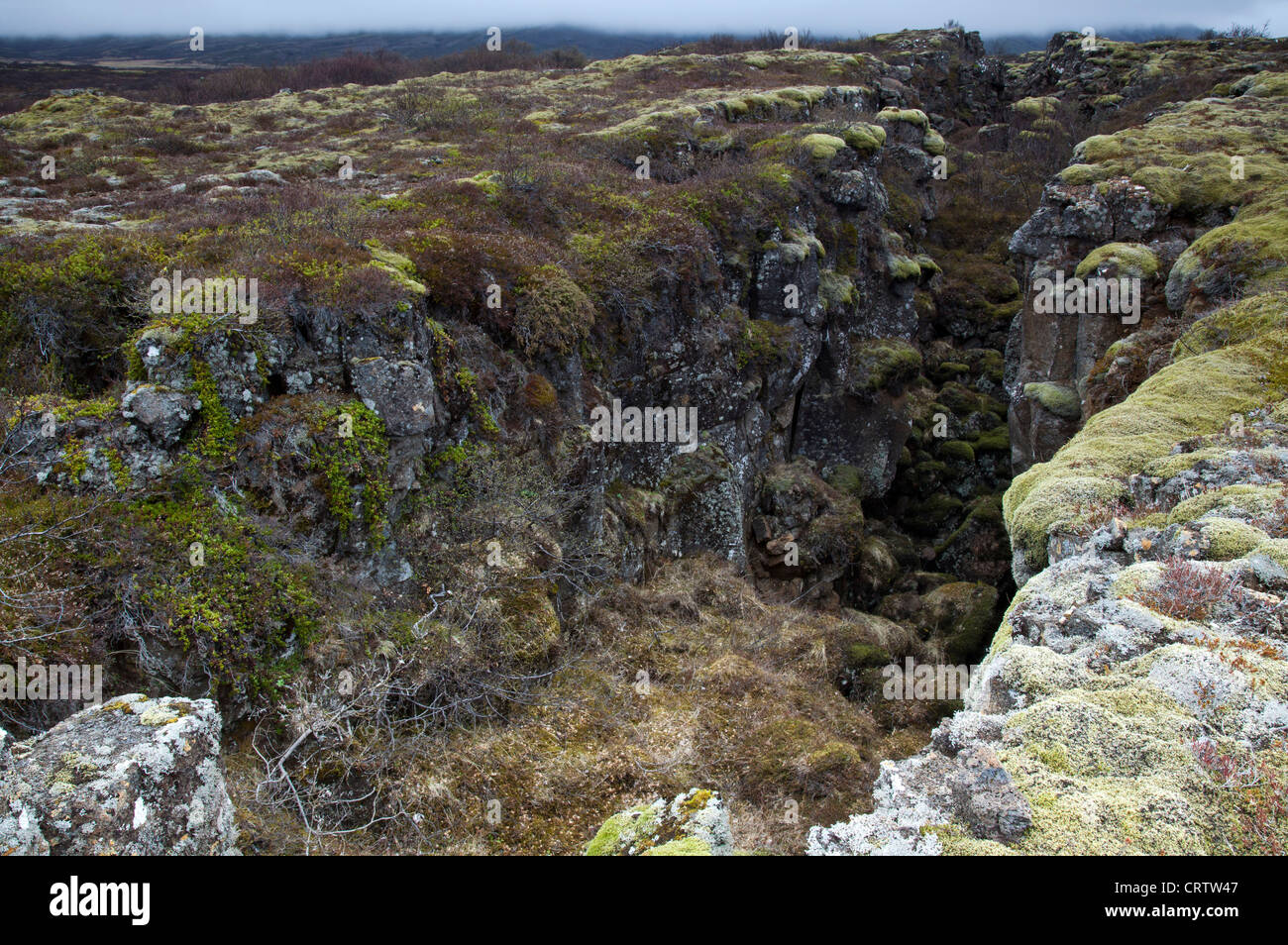 Iceland fault line thingvellir hi-res stock photography and images - Alamy