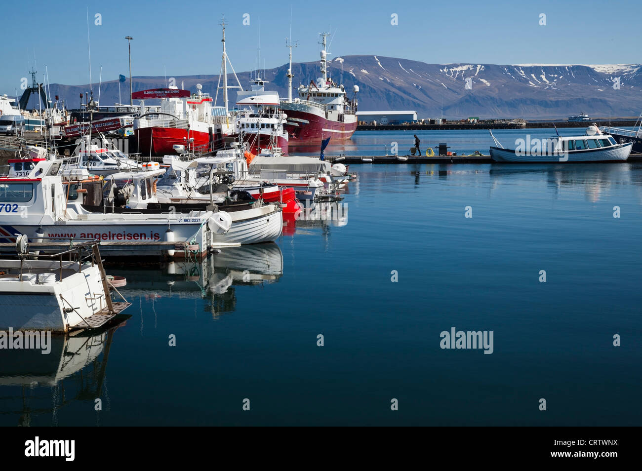 Reykjavik harbour, Iceland Stock Photo - Alamy
