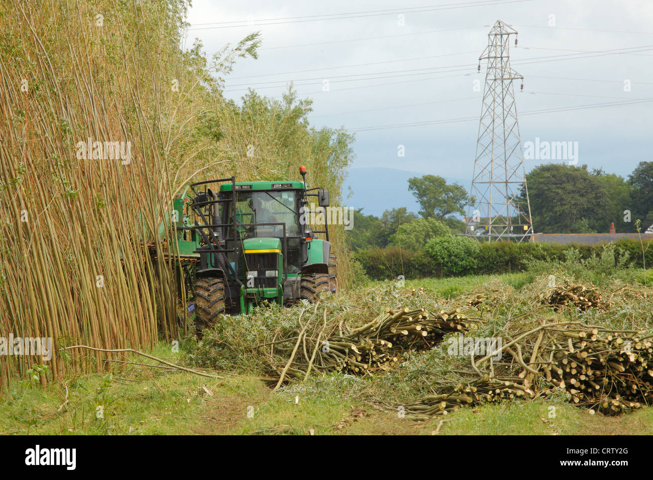 Harvesting Willow Coppice Plantation with 'The Stemster' near Carlisle ...