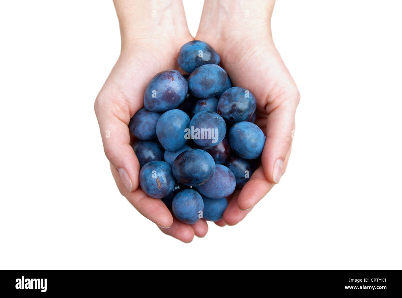 Prunes in hands isolated on white Stock Photo - Alamy