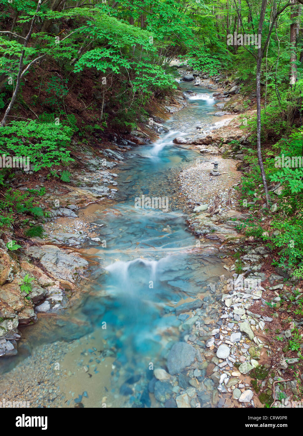 Running water through forest hi-res stock photography and images - Alamy