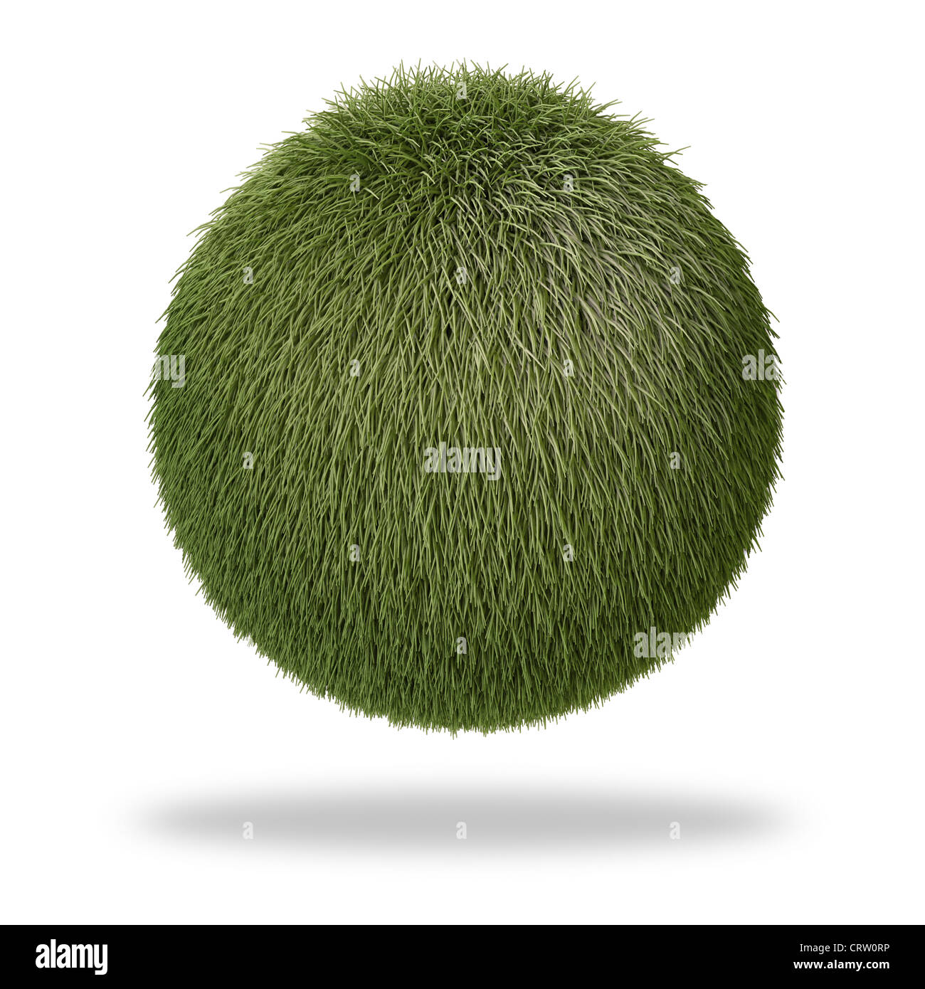 Fluffy, grass-like sphere Stock Photo - Alamy