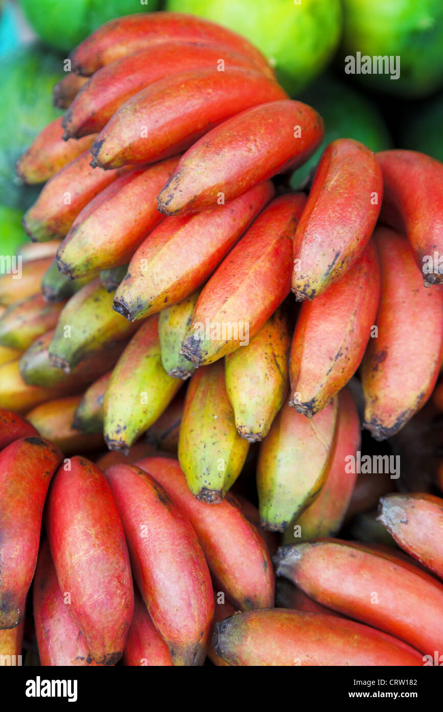 Row banana hi-res stock photography and images - Alamy