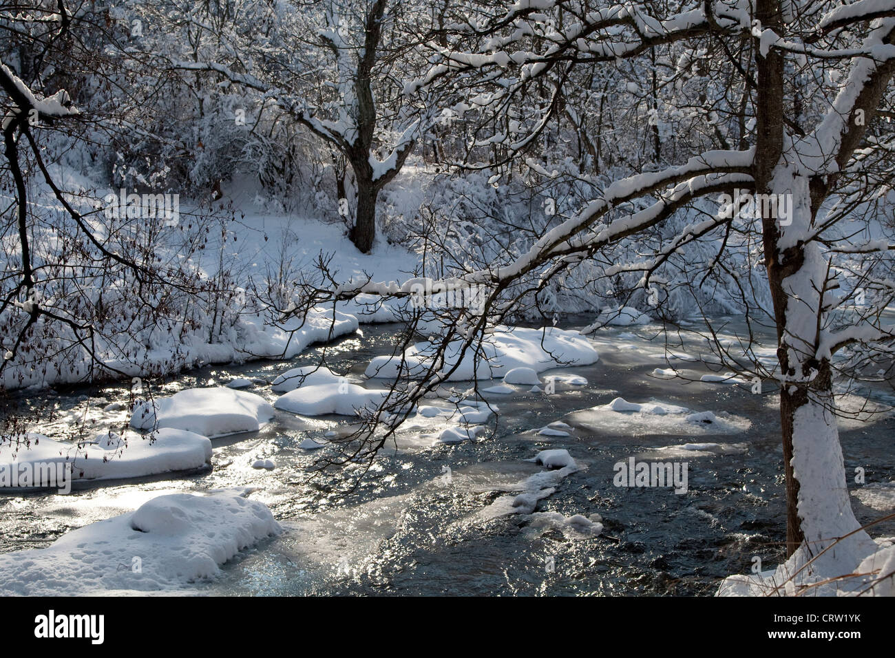 River scene with trees hi-res stock photography and images - Alamy