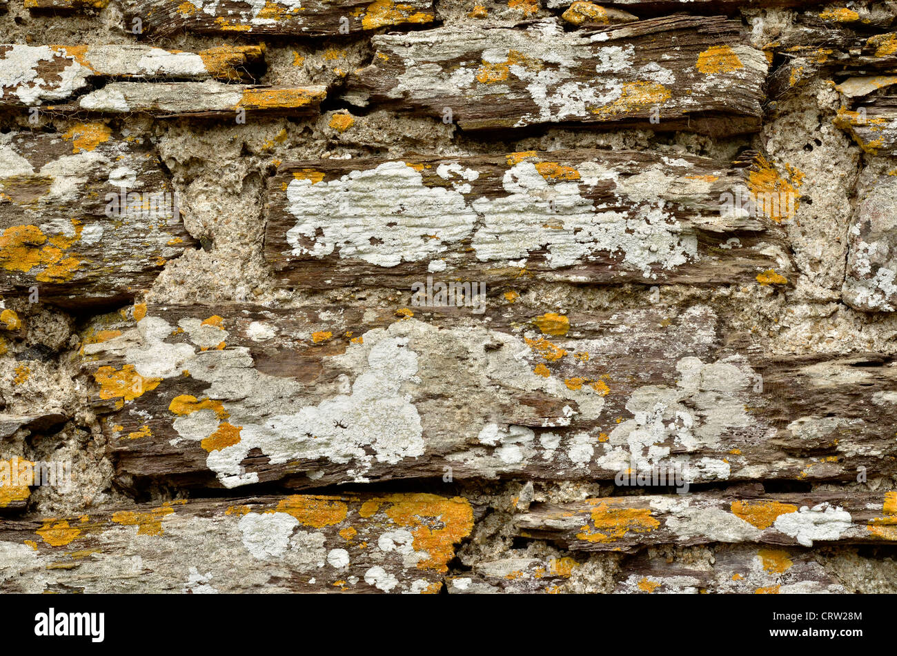Stone building wall showing signs of lichen and mildew formation Stock ...