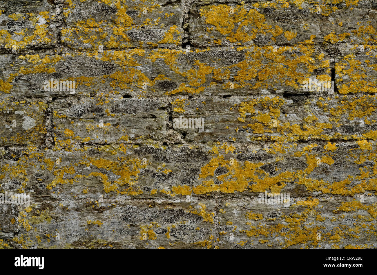 Stone building wall showing signs of lichen and mildew formation ...