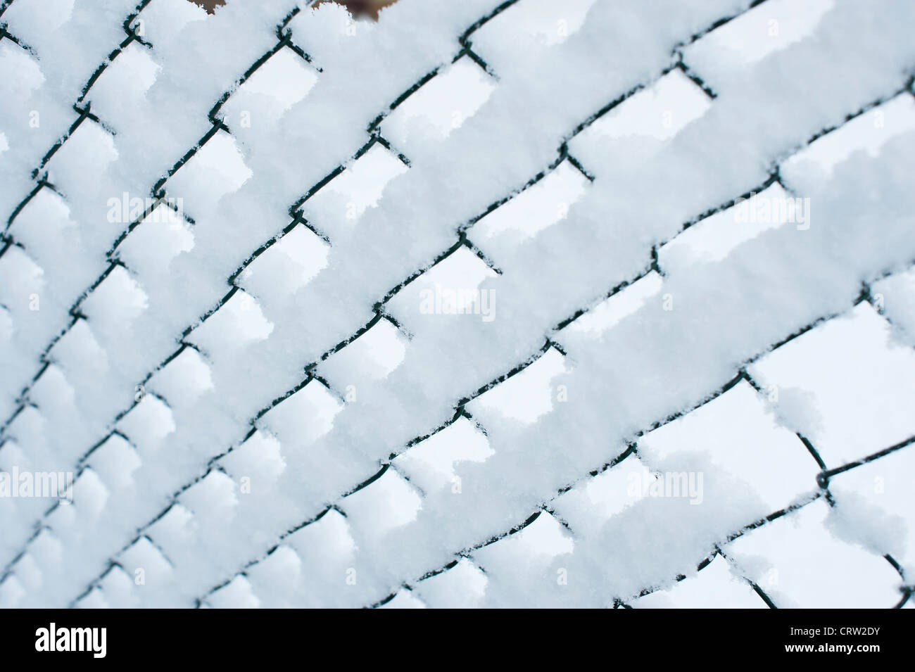 snow on a chain link fence Stock Photo - Alamy