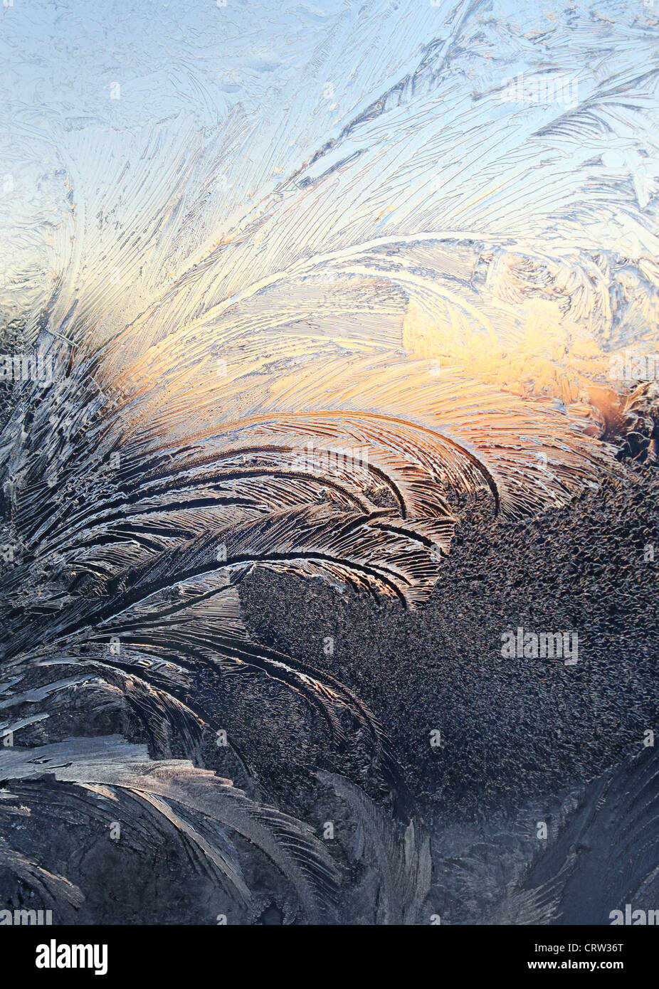 Sunlight patterns hi-res stock photography and images - Alamy