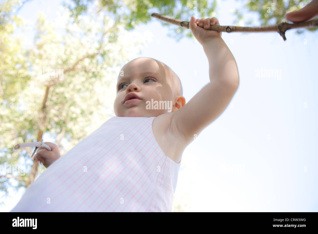 Grab stick hi-res stock photography and images - Alamy