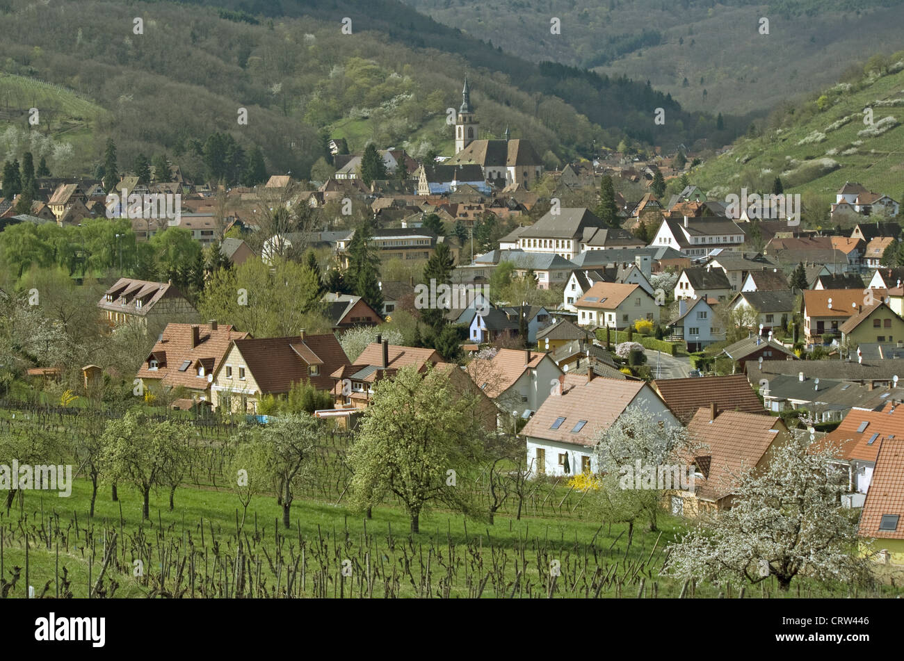 Andlau, Wine Route, Alsace, France Stock Photo - Alamy