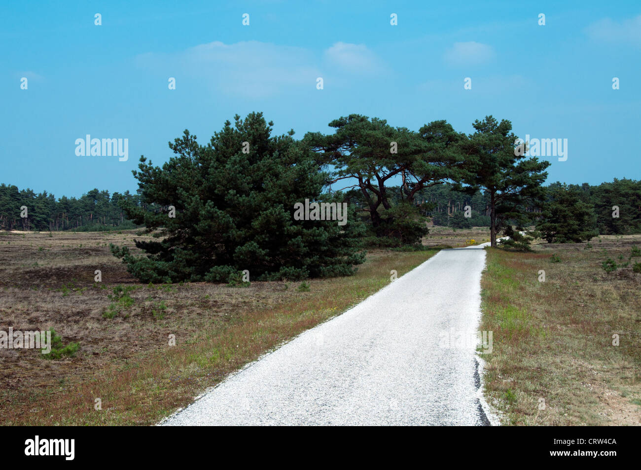 natural green port in landscape grown from trees Stock Photo - Alamy