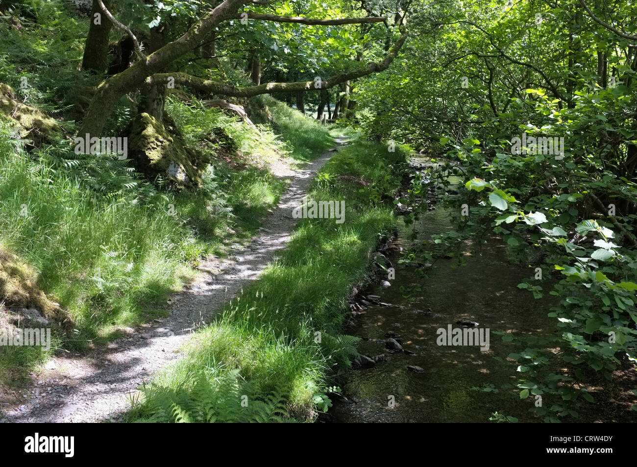 Country path in the English Lake District Stock Photo - Alamy