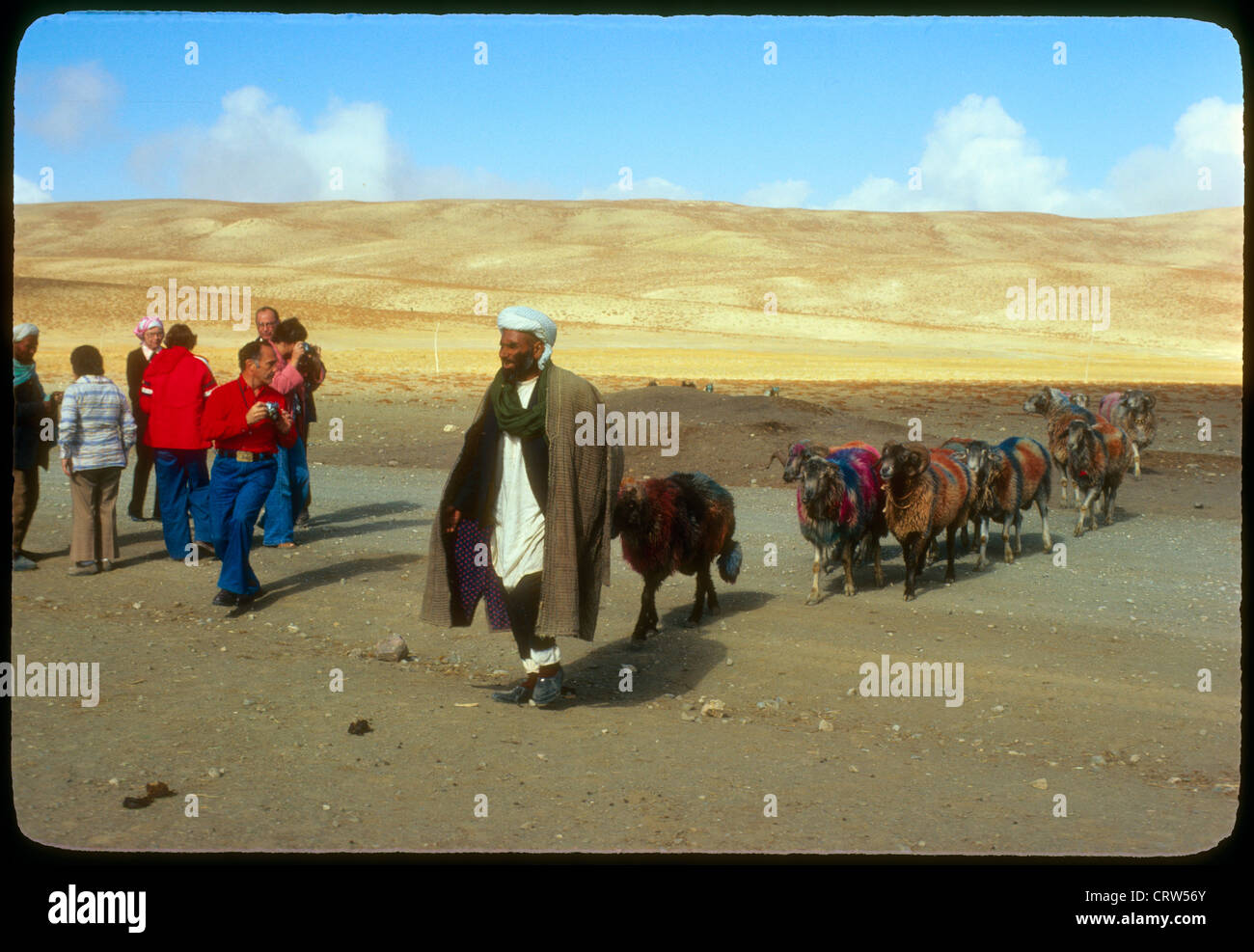Man, goat herder, walking with colored goats in afghanistan before the ...