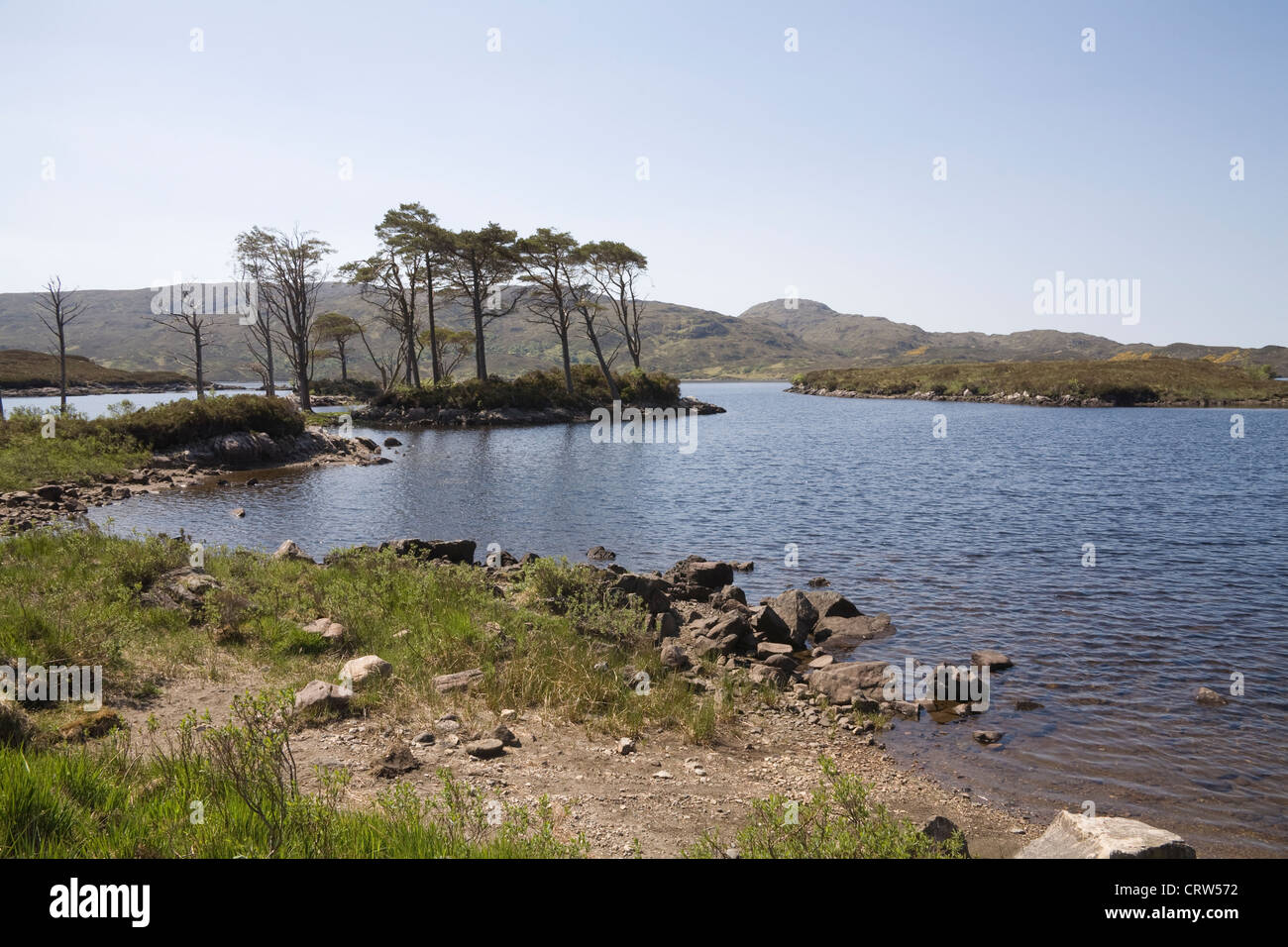 Sutherland Scotland May View across Loch Assynt a fresh water lake ...