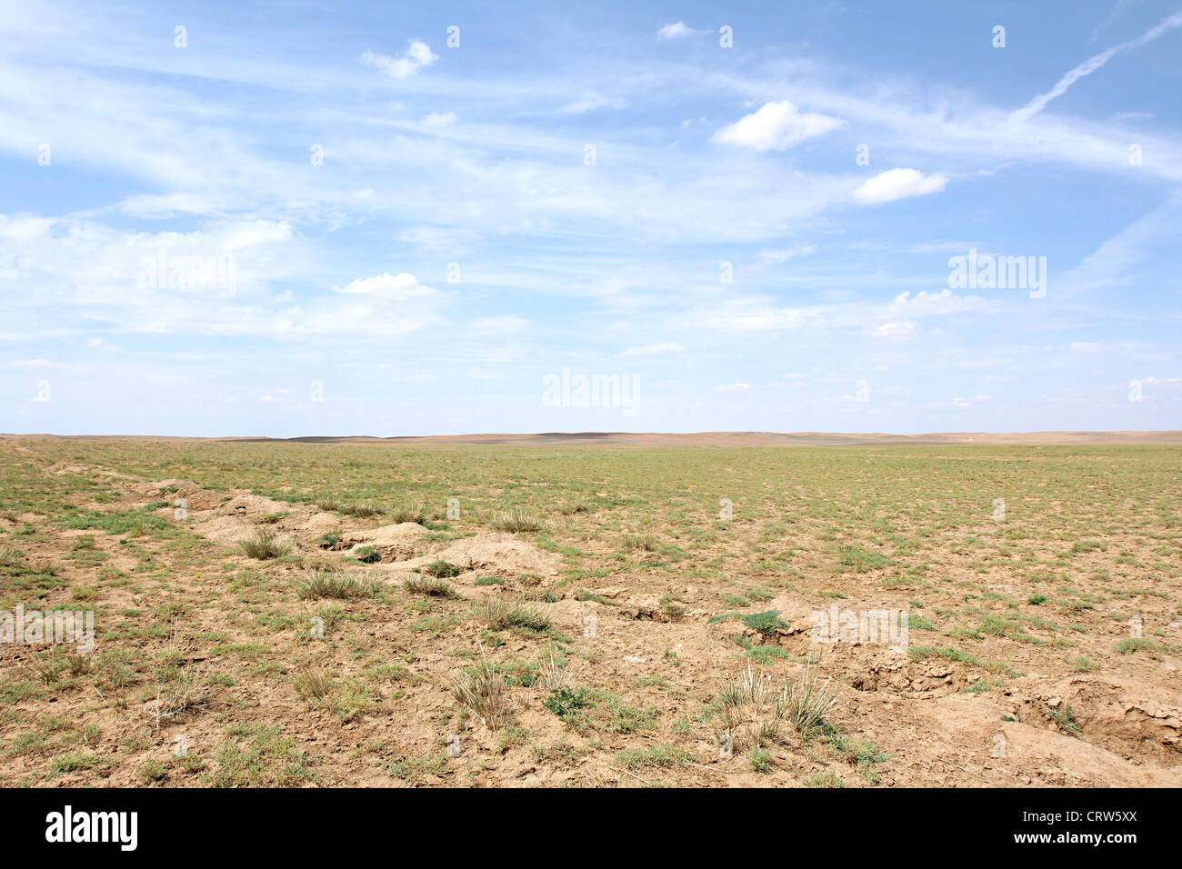 Picture of gobi desert hi-res stock photography and images - Alamy