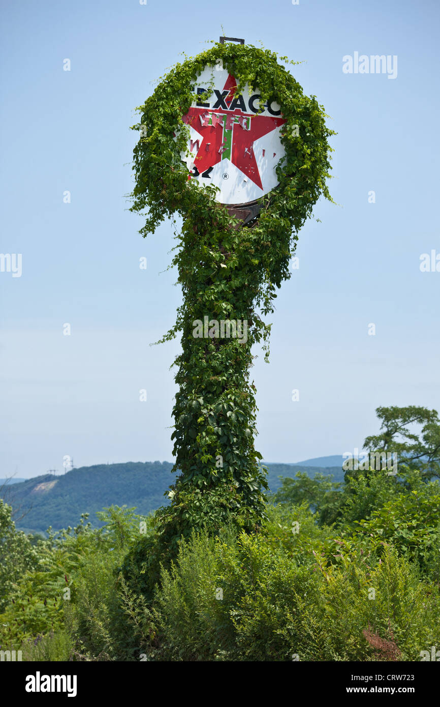 Vine-covered Texaco sign near Berwick, Pennsylvania, Columbia County ...