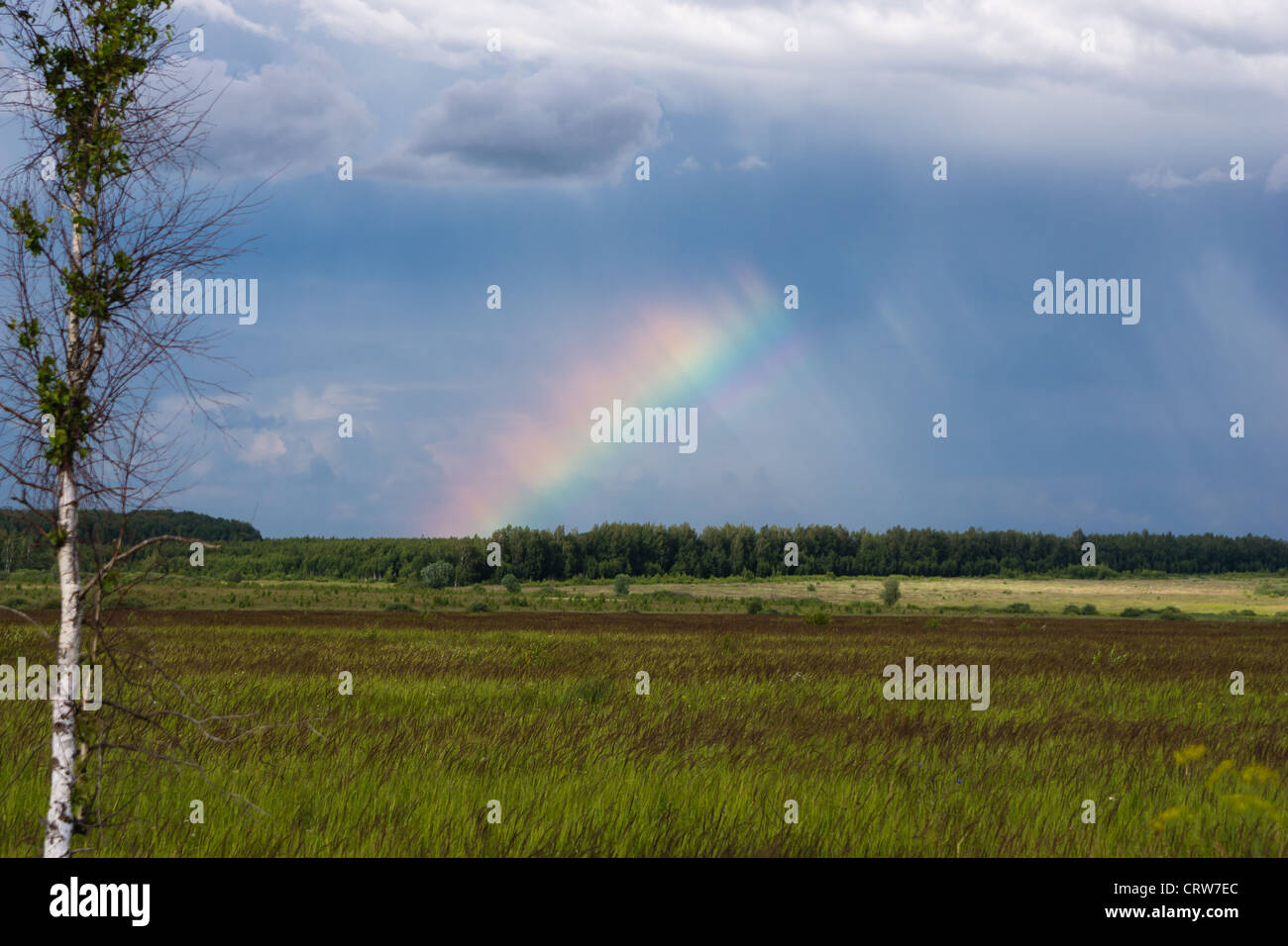 Rainbow over a field hi-res stock photography and images - Alamy