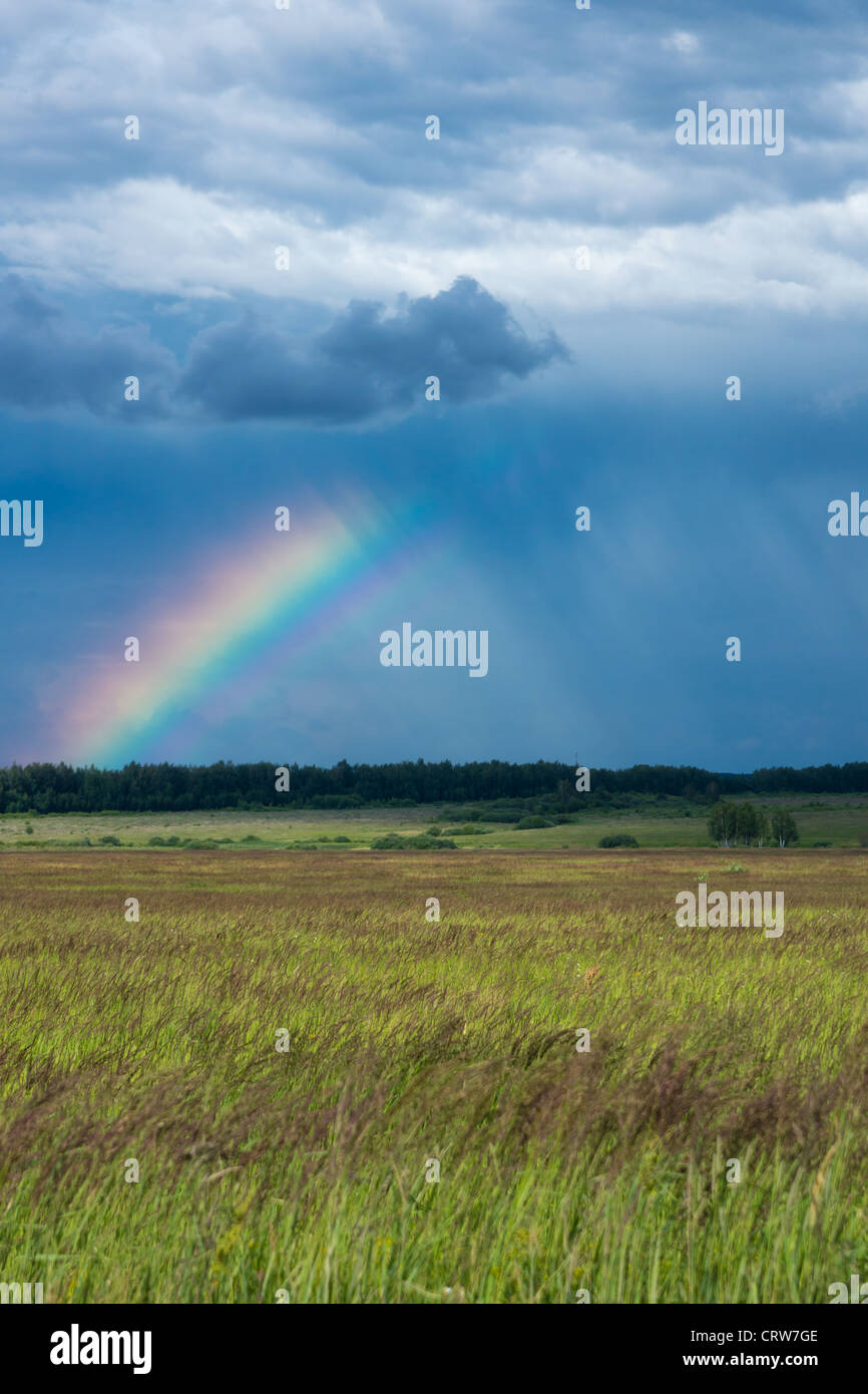 Rainbow over a field, a forest in the distance Stock Photo - Alamy