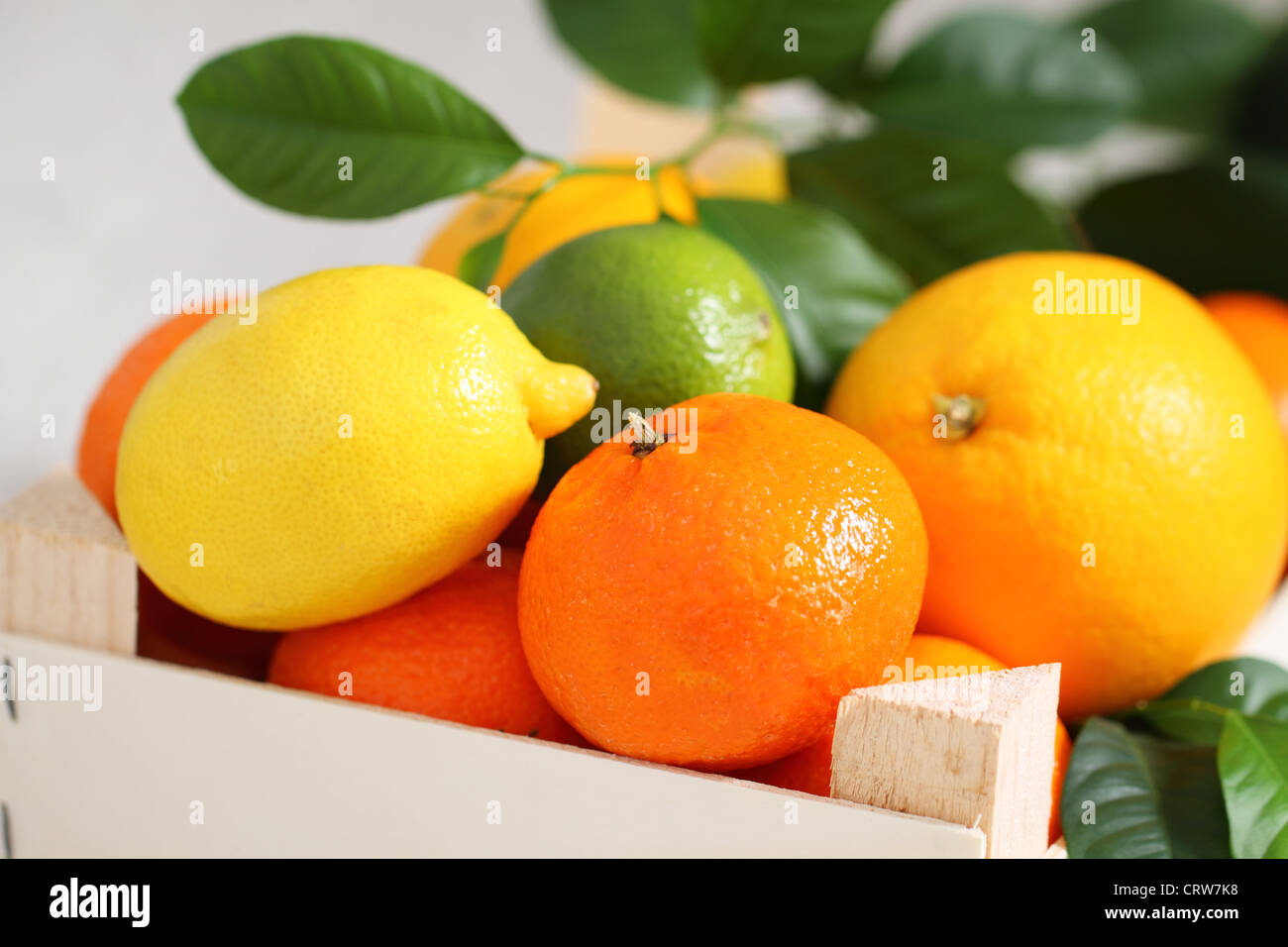 Fresh citrus fruits in the box Stock Photo - Alamy