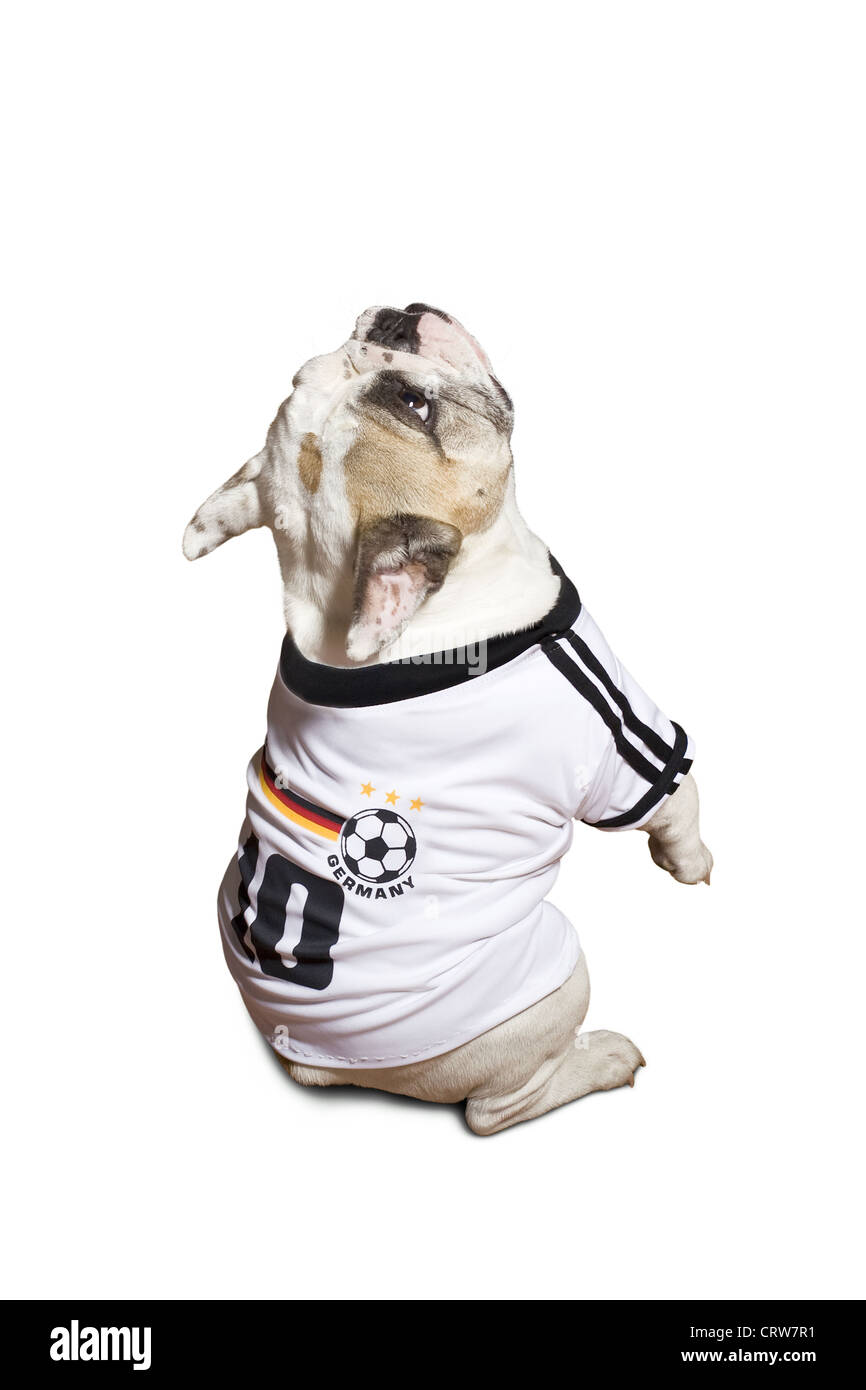 French for key Cut Out Stock Images & Pictures - Alamy