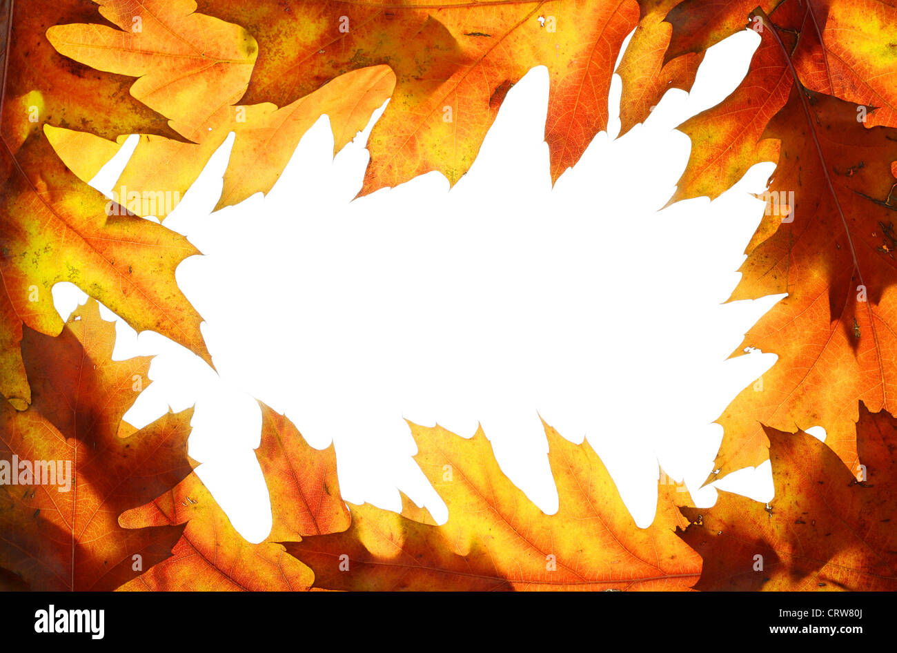 Simple nature backgrounds hi-res stock photography and images - Alamy