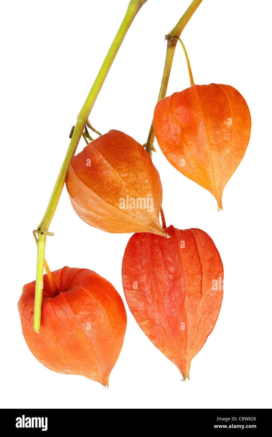 Isolated four red hearts Stock Photo - Alamy