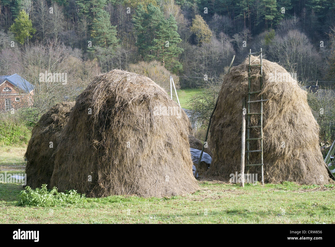 Haystacks hi-res stock photography and images - Alamy