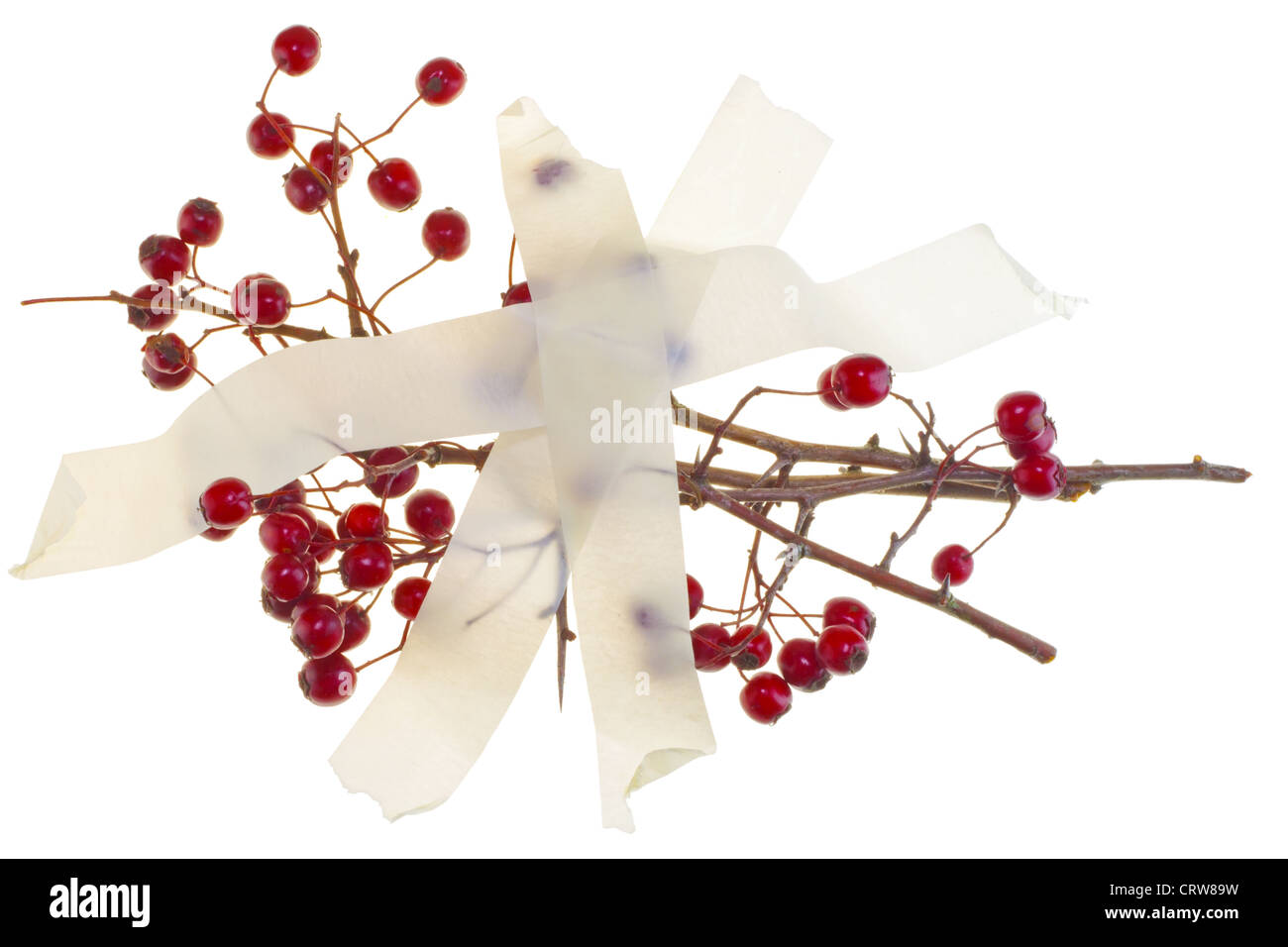 The concept of forbidden red berries Stock Photo - Alamy