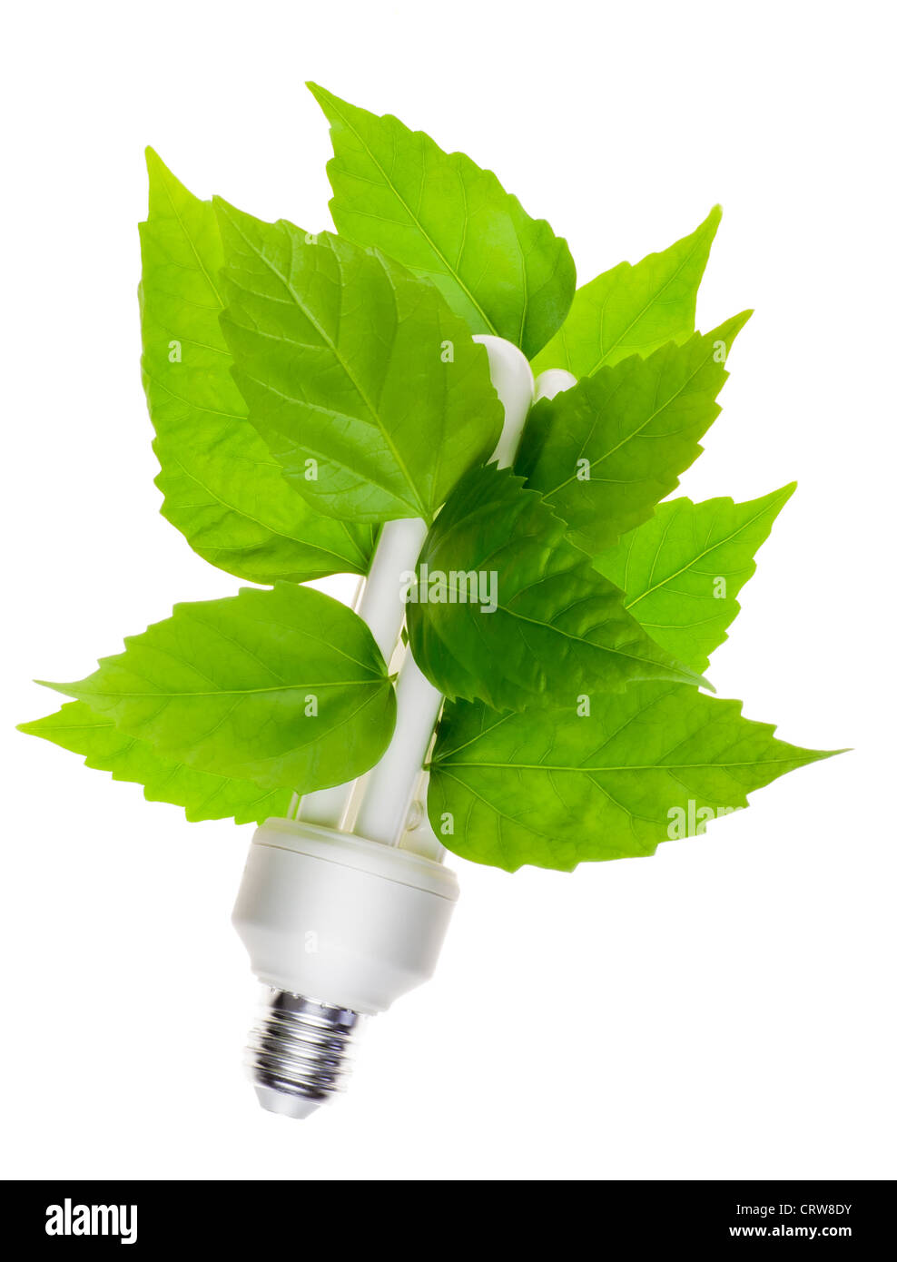 Green alternative energy Cut Out Stock Images & Pictures - Alamy
