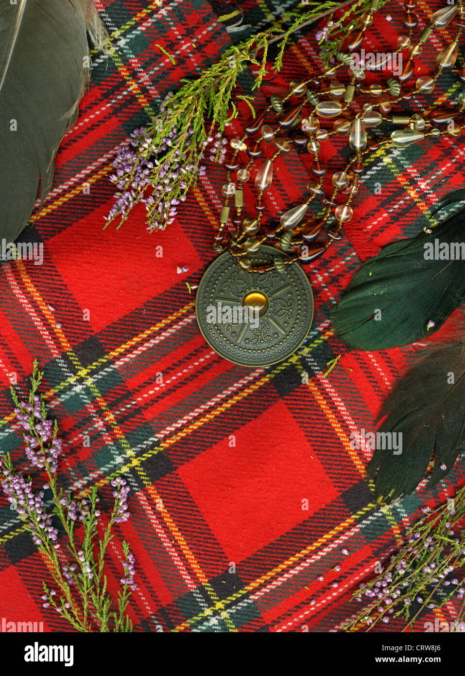 Scottish crow hi-res stock photography and images - Alamy