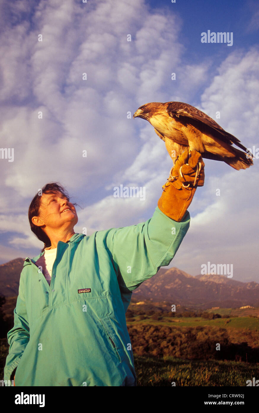 Drozdowski hi-res stock photography and images - Alamy