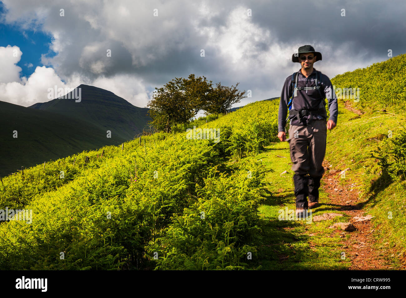 Cribyn from Cwm Sere, Brecon Beacons National Park, Wales Stock Photo ...