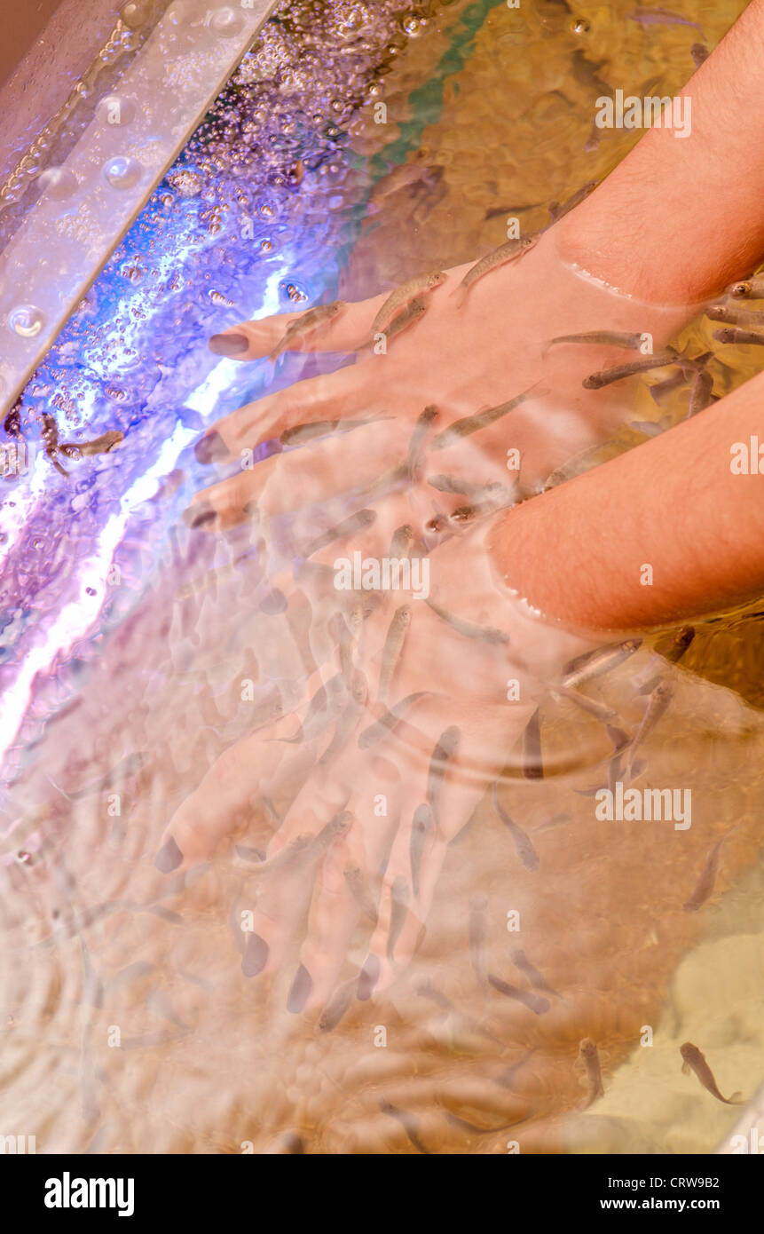 Fish therapy for skin of hand at spa Stock Photo - Alamy