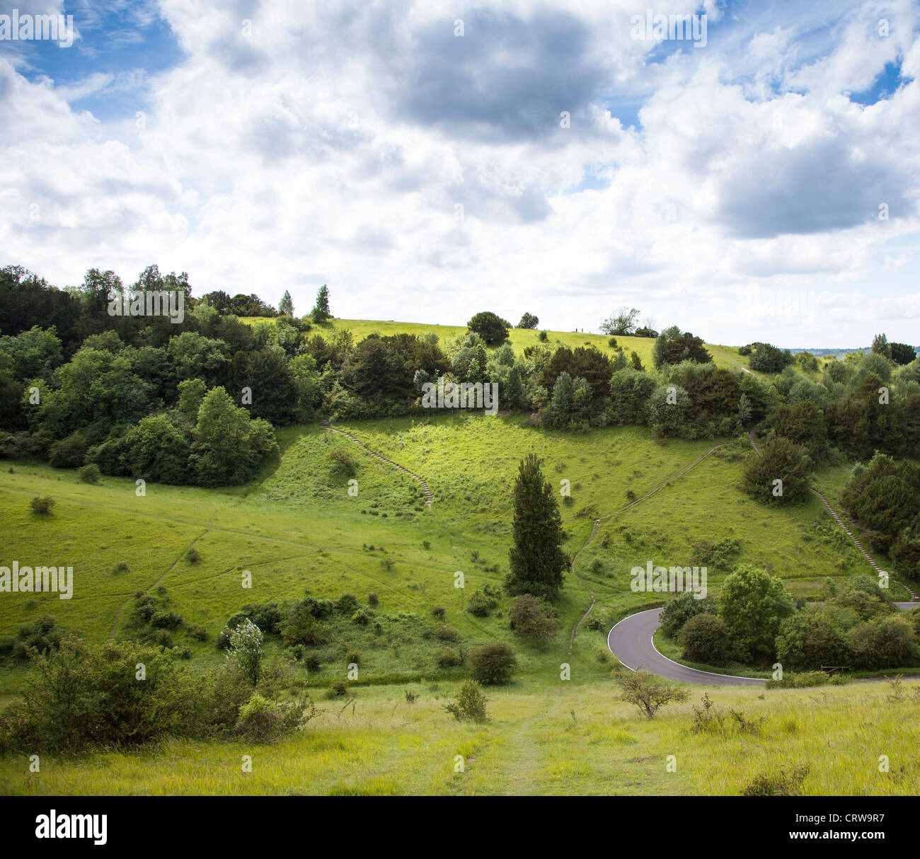 Box hill surrey england hi-res stock photography and images - Alamy