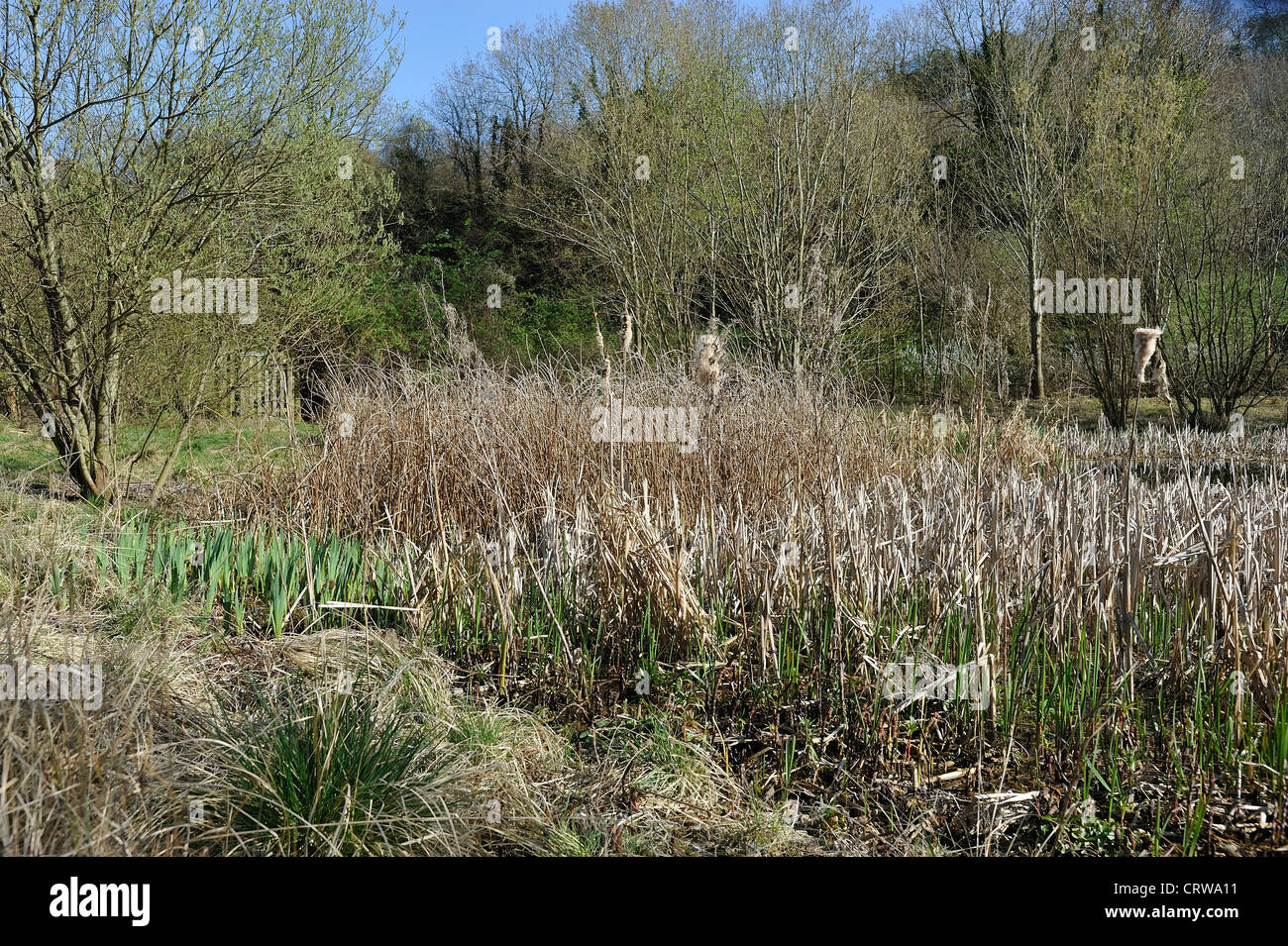 Chilcombe Bottom nature reserve Northend Batheaston Bath and Northeast ...