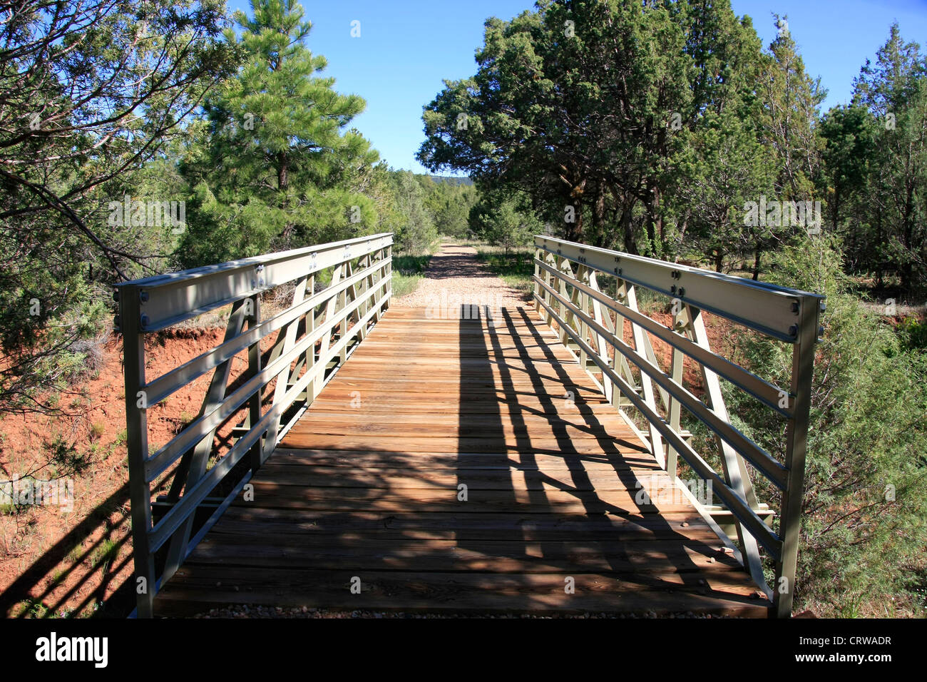 Bridge over a dry river in the forest Stock Photo - Alamy