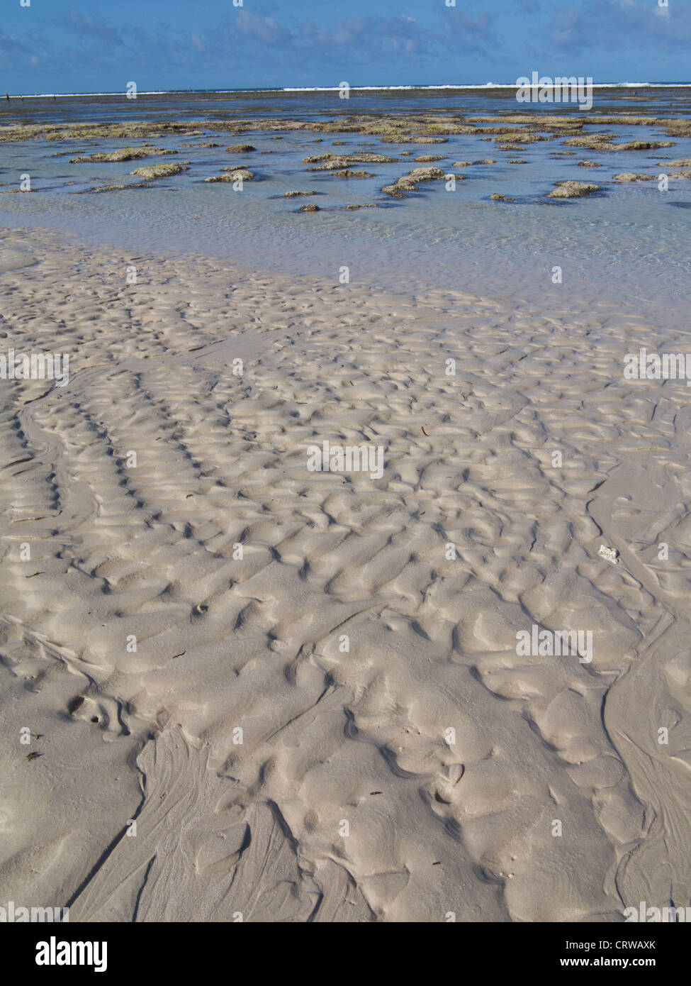 Tiwi kenya hi-res stock photography and images - Alamy