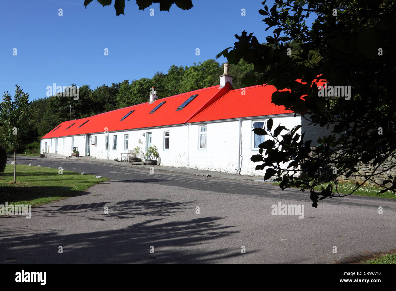 Carry Farm on the Cowal peninsula, Argyll, Scotland Stock Photo - Alamy