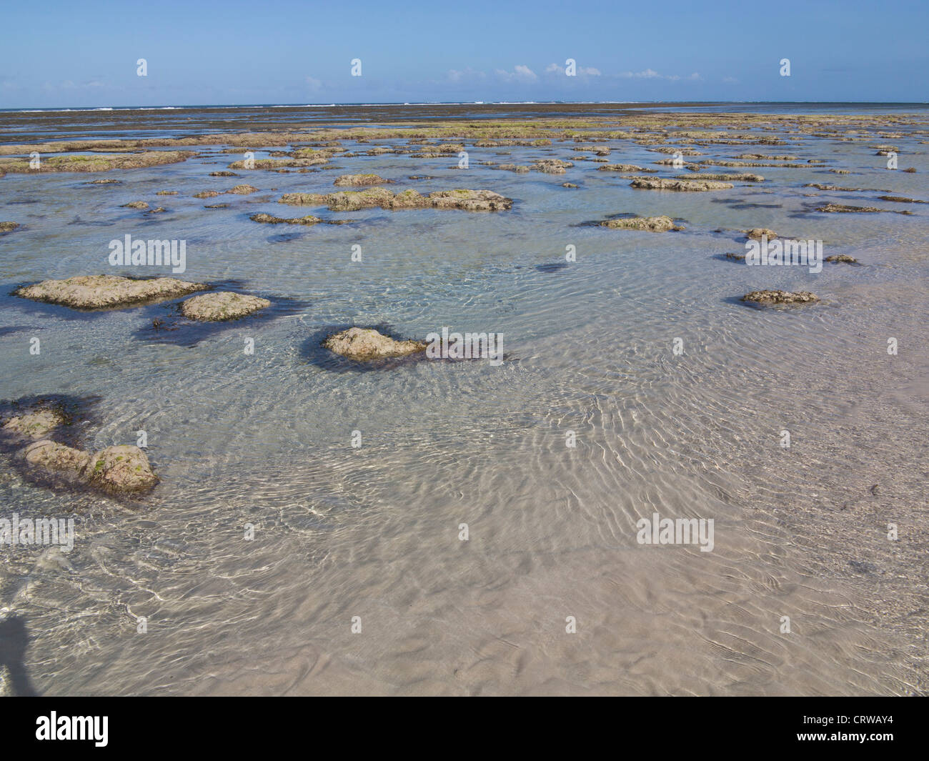 White sand and coral reefs at the beach at Tiwi, on Indian Ocean coast ...