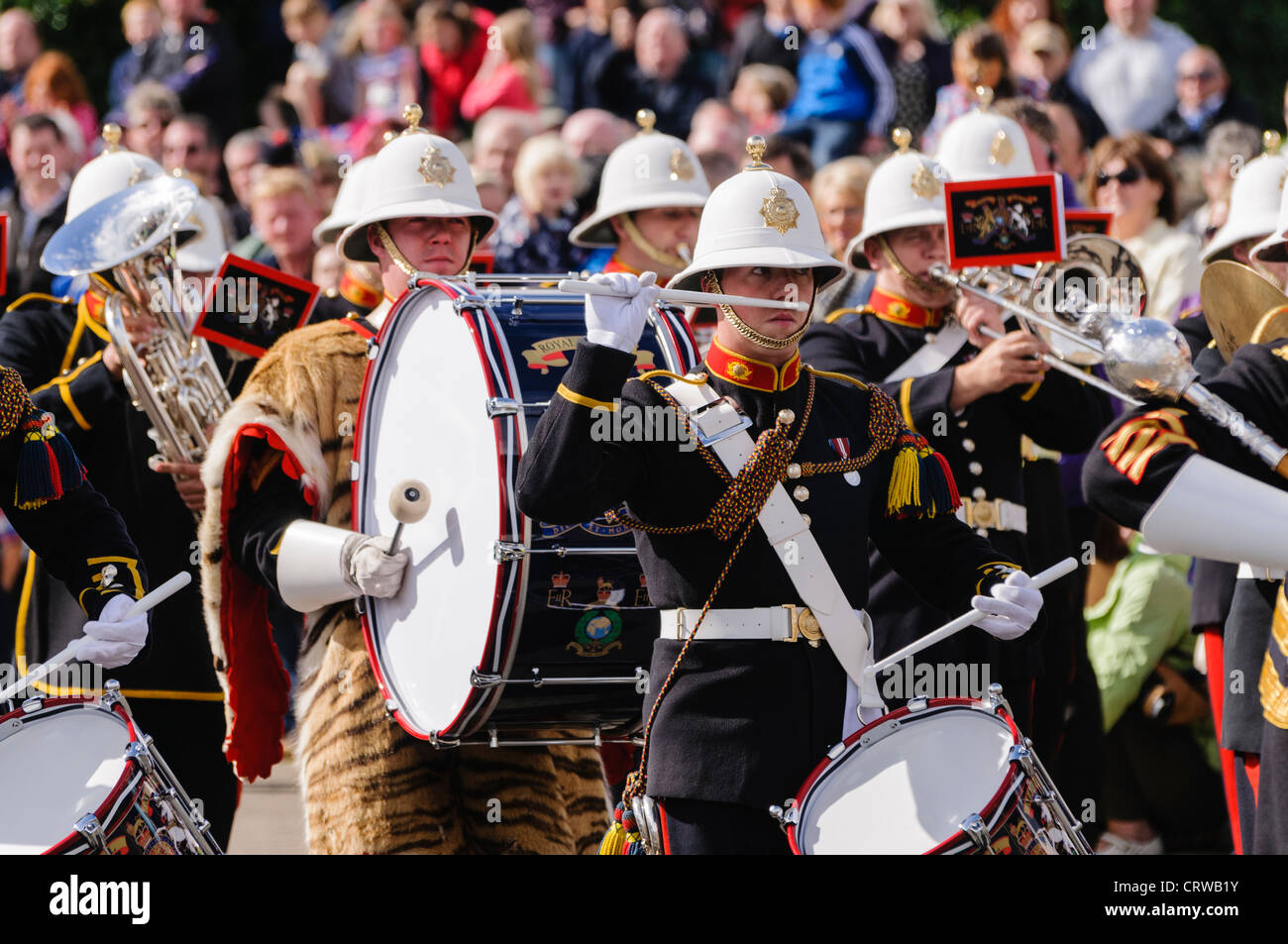Royal marines badge hi-res stock photography and images - Alamy