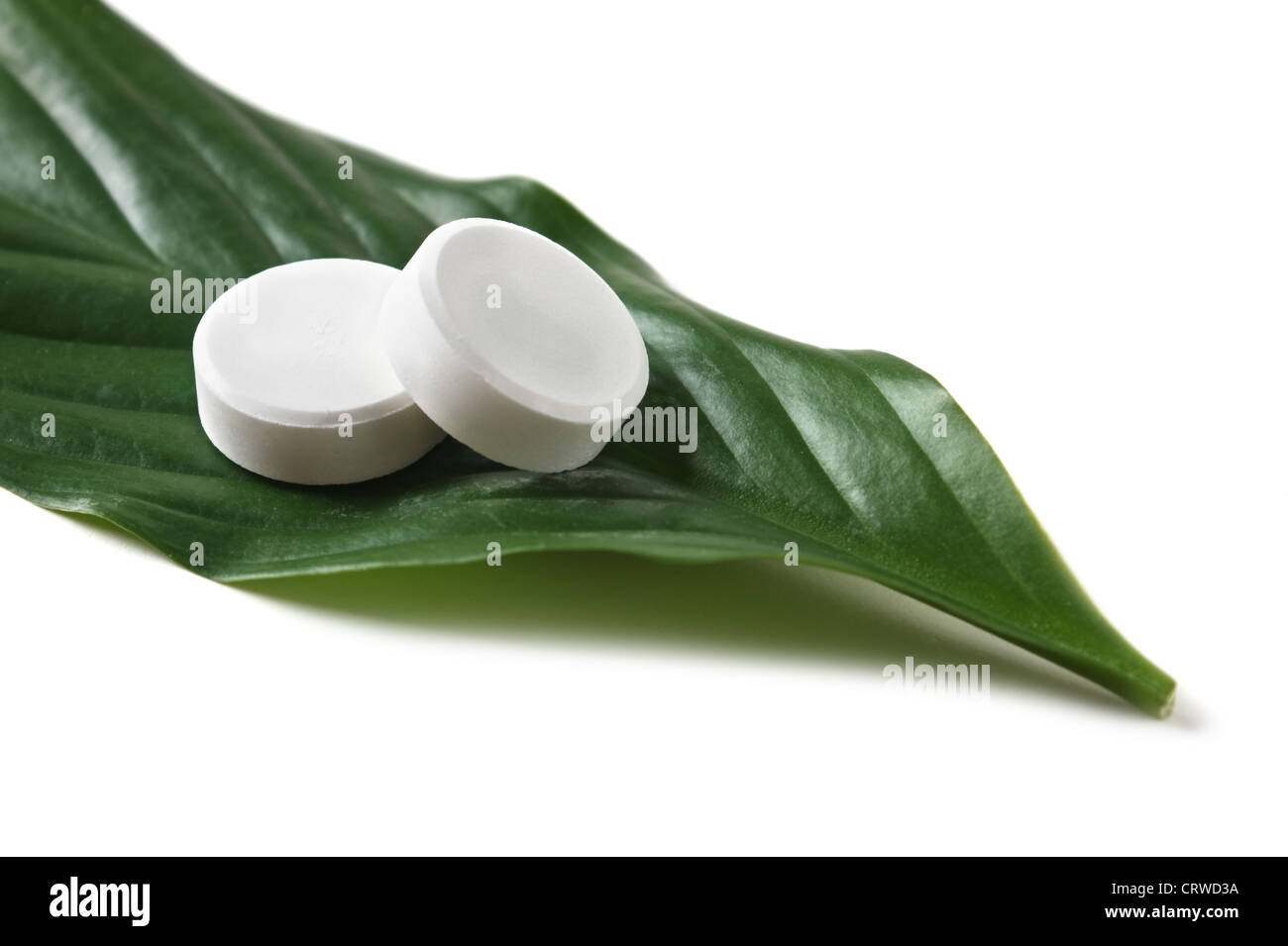 white pill lying on a green leaf Stock Photo - Alamy
