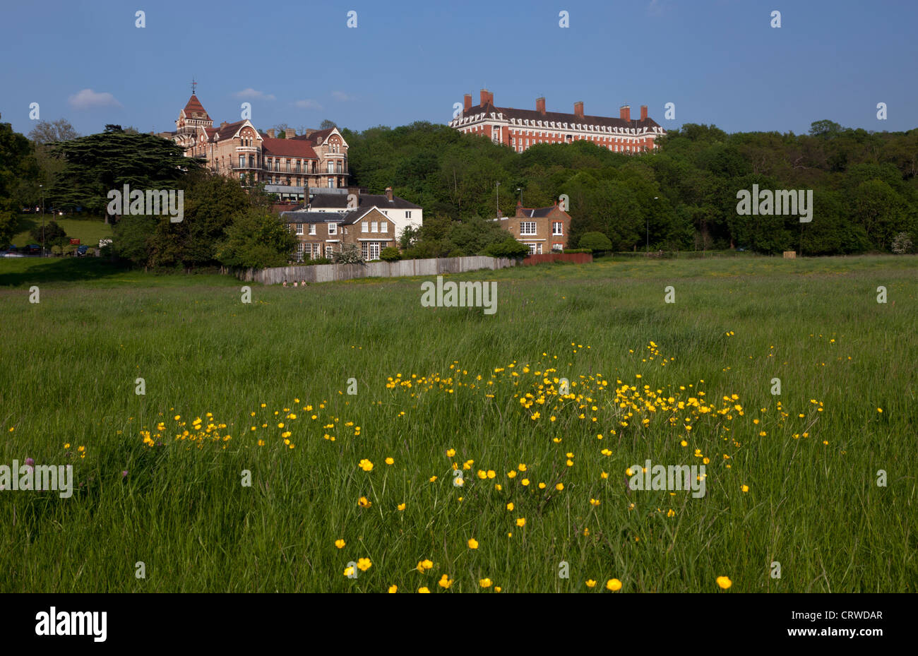 A meadow of grasses and buttercups and monumental buildings at Richmond ...