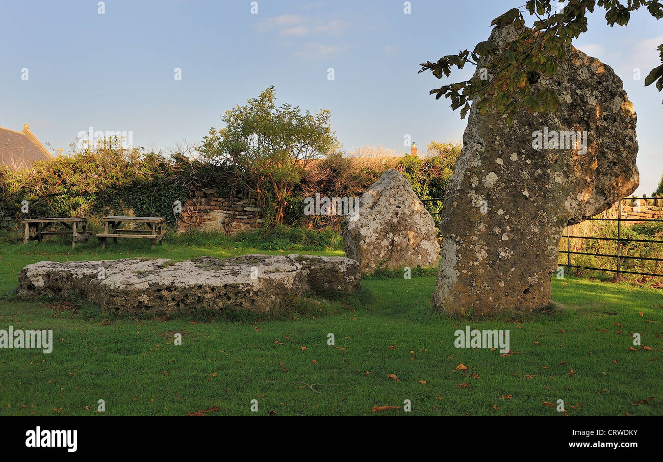 The Cove standing stones Stanton Drew Somerset UK Neolithic monument ...