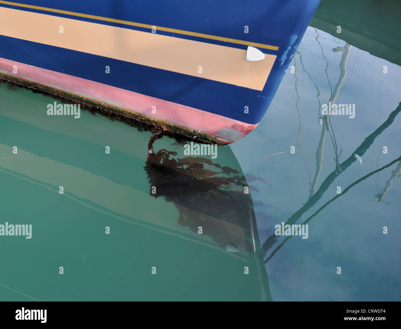 Algae hull hi-res stock photography and images - Alamy
