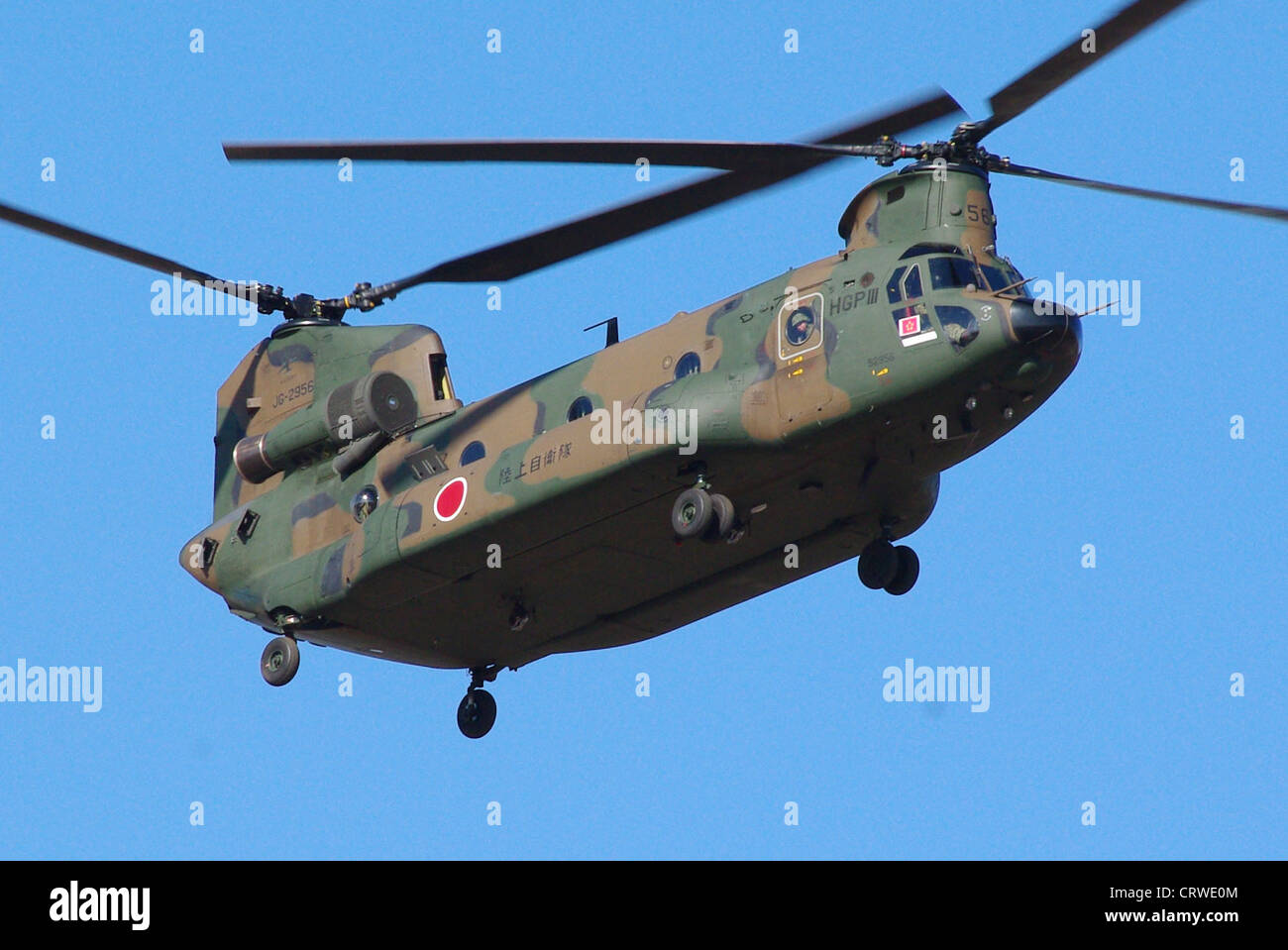 JGSDF CH-47J,103SQ(HGP III)/1st Transportation Helicopter Group Stock ...